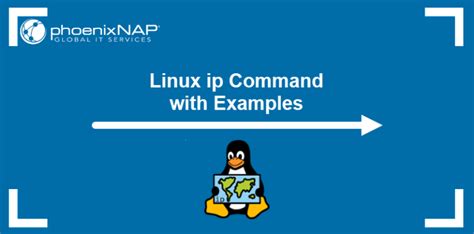 Linux Ping Command With Examples Phoenixnap Kb