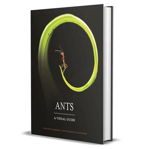 Ants A Visual Guide Bioweb Brasil