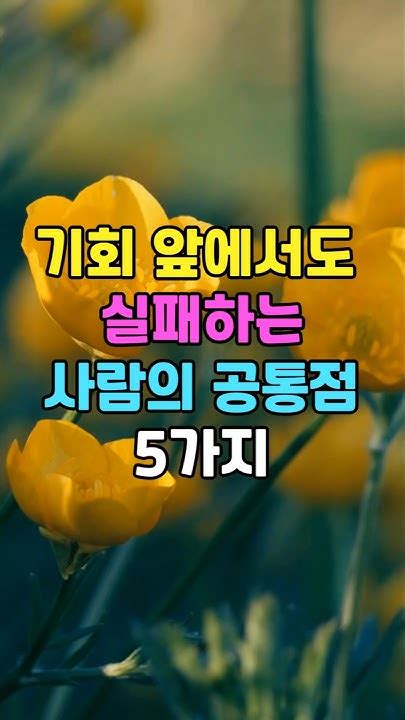 기회 앞에서도 실패하는 사람의 공통점 5가지 명언 인생조언 좋은글 성공습관 기회잡기 마인드셋 지혜 Youtube
