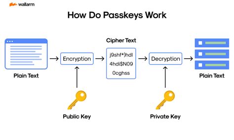 Mastering The Code From Scratch To A Strong Password