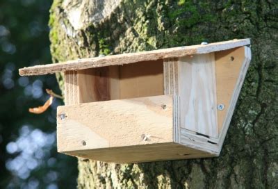 Robin Nest Box