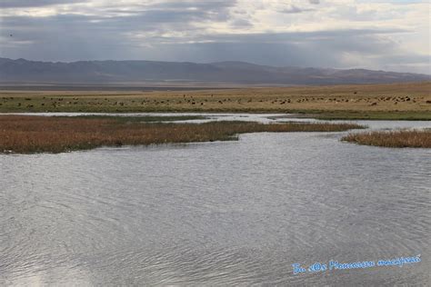 Голын эх Говь Алтай аймаг Баян Уул сум Narkhuu Enkhbold Flickr