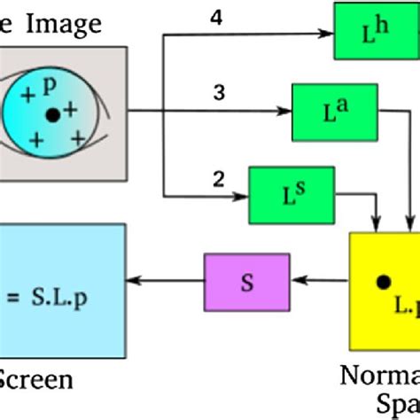 point of gaze estimation using a single uncalibrated camera download