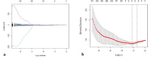 Feature Selection Using The Least Absolute Shrinkage And Selection