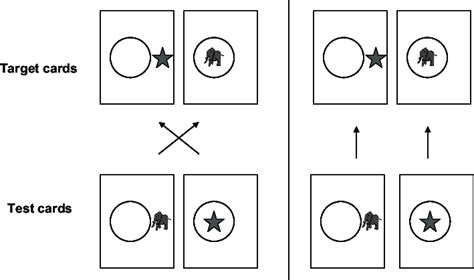 Depiction Of The Card Sorting Task For Experiment The Left Portion Download Scientific
