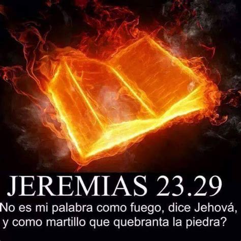 Daniel Sanchez Youtube