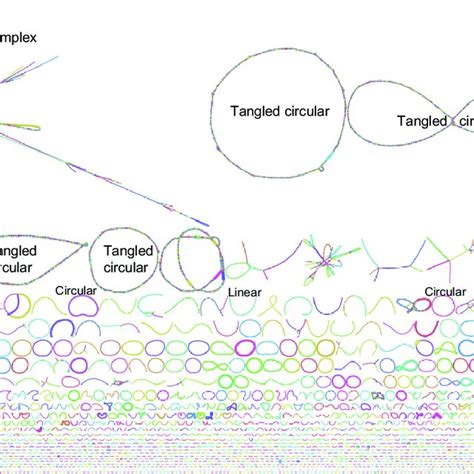 Graphic Display Of The Contig Assembly Graph Random Colors Were Chosen Download Scientific