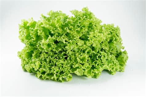 신선한 양상추 잎 은 흰색 배경에 고립 된 건강한 음식이나 야채 샐러드를 요리하기위한 그것은 비타민 식용과 맛있는 좋은 소스입니다 바타비아 상추에 대한 스톡 사진 및 기타