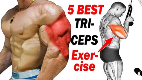 5 Best Tricep Exercises For Beginners Fitness Fever Youtube