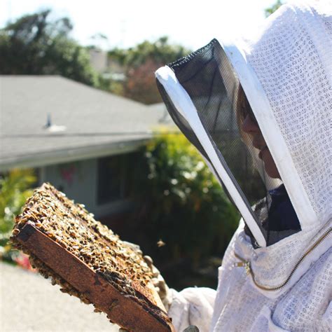 WHY KEEP HIVE INSPECTION NOTES Beekeeping Like A Girl