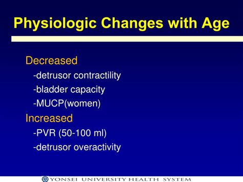 Ppt The Aging Bladder Powerpoint Presentation Free Download Id2008028