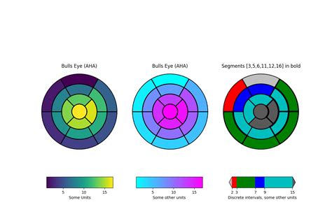 Doc Left Ventricle Bullseye Example Unexpected Output Regression