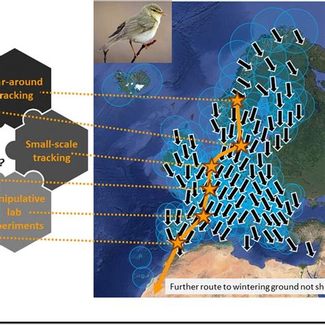 A Hypothetical Scenario Of Scientific Methods To Study Migration