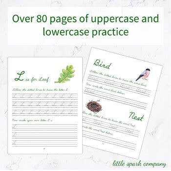 Forest Explorer Cursive Writing Workbook By Babe Spark Company