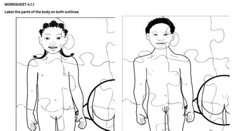 Sex Education Facts Worksheets Anatomy Health Importance Worksheets Library