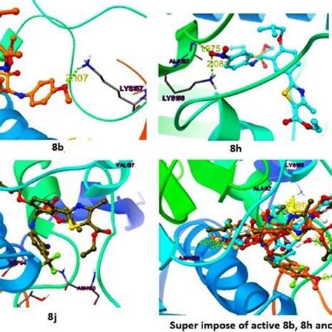 Binding Mode Analysis And Interaction Of Compounds In The Active Site Download Scientific
