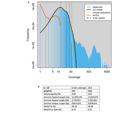 Genome Size Estimation Generated By Genomescope Providing A K Mer Download Scientific Diagram