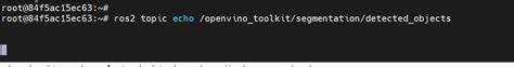 run object segmentation sample code can t appear image · issue 259 · intel ros2 openvino
