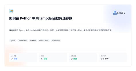 如何在 Python 中向 Lambda 函数传递参数 Labex
