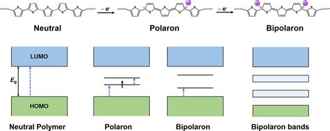 Top Row Chemical Structures Of Polythiophene Upon Its P‐doping Download Scientific Diagram
