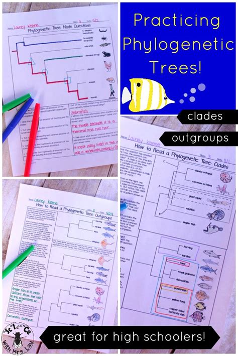 How To Read A Phylogenetic Tree 3 Part Activity Teaching Science Teaching Biology Biology