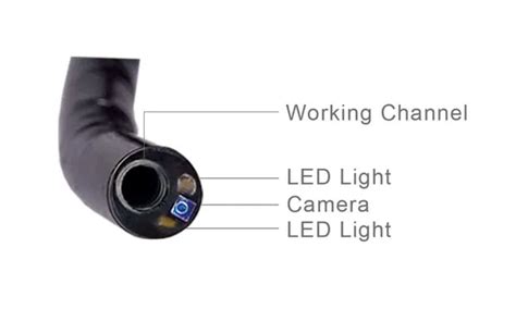 Laparoscope System Rigid Flexible Endoscope Camera System For Urology Flexible Endoscope And