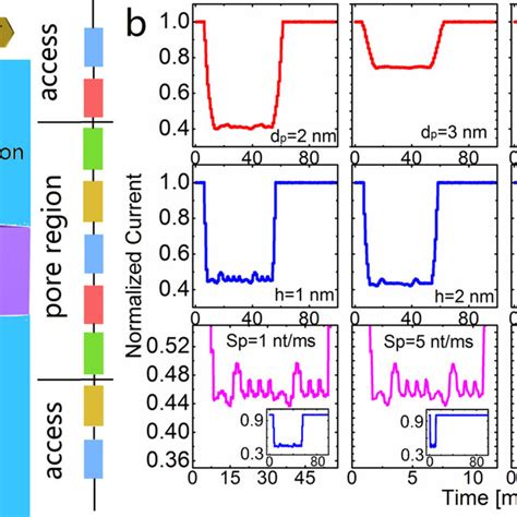 A Schematic Translocation Of An Ssdna Strand In A Nanopore With The Download Scientific