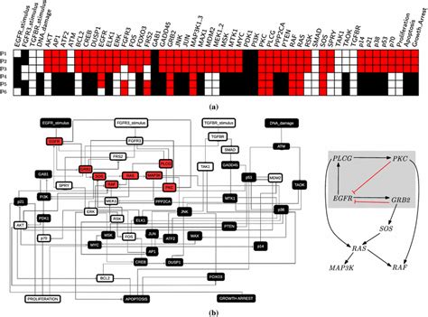 A The Six Trap Spaces Download Scientific Diagram