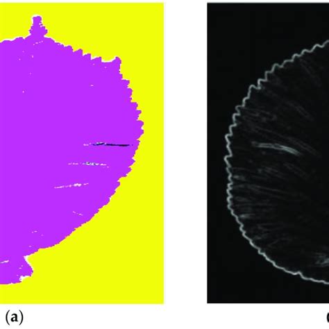 A Lab Image Converted From Rgb Image B Edge Detected Image