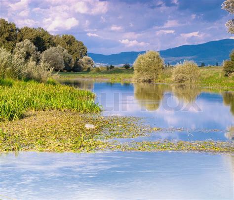 River Landscape Stock Image Colourbox
