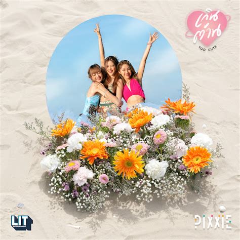 เกินต้าน Too Cute Youtube Music