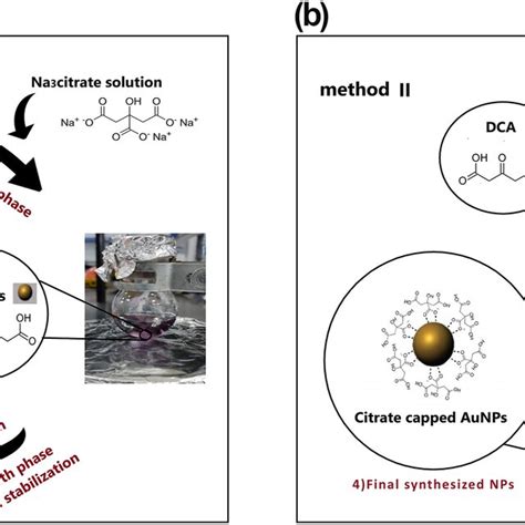Ftir Spectroscopy Of Citrate‐capped Gold Nanoparticles Aunps