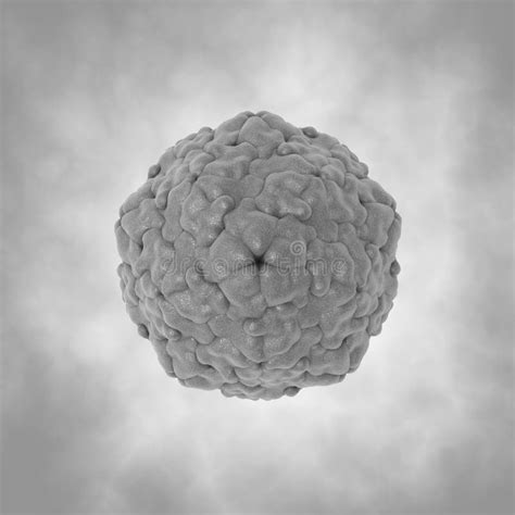 Hepatitis C Virus Model Stock Illustration Illustration Of Flavivirus