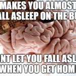 Scumbag Brain Meme Generator Imgflip
