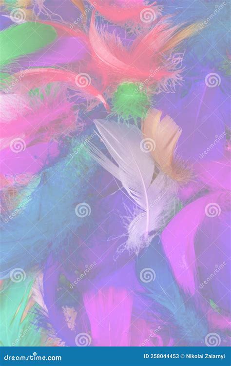 Colorful Feather Background Stock Image Image Of Exotic Fluffy