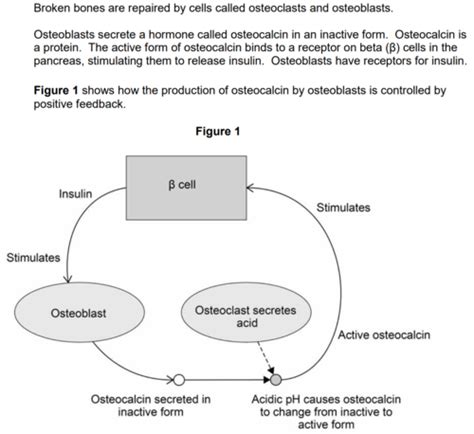 Paper 3 2018 Flashcards Quizlet