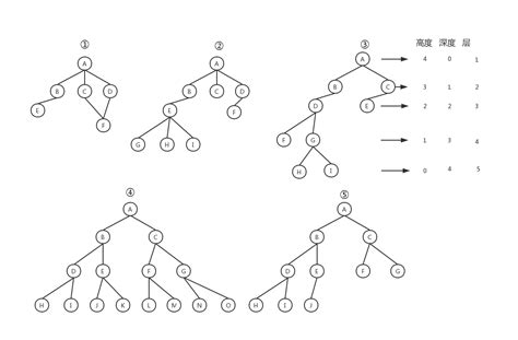 测试开发基础之算法11二叉树的三种遍历算法及典型题解二叉树的三种遍历例题带图 Csdn博客 测试开发基础之算法11二叉树的三种遍历算法及典型题解二叉树的三种遍历例题带图 Csdn博客
