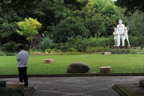 2025瀛洲公园游玩攻略 崇明原先叫瀛洲，所以在崇明 【去哪儿攻略】