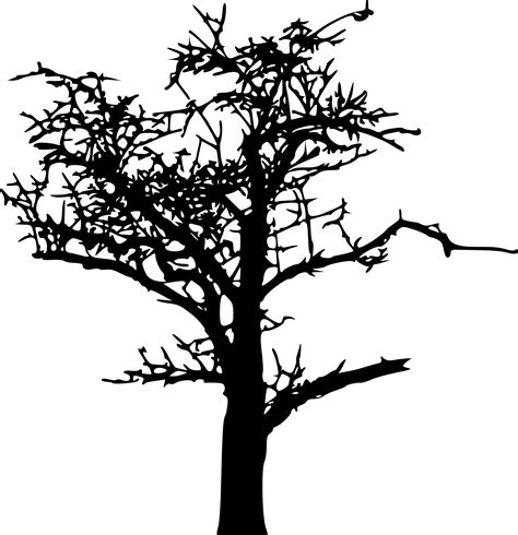 Bare Tree Silhouette PNG Transparent Vol OnlyGFX Com