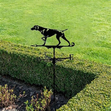 Girouette Chien Avec Indicateur De Direction Du Vent Sur Le Toit