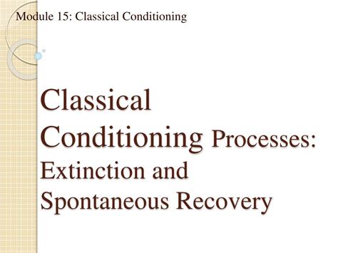 Ppt Classical Conditioning Powerpoint Presentation Free Download