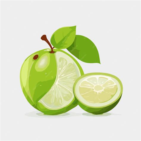 Premium Vector Guava Vector On A White Background