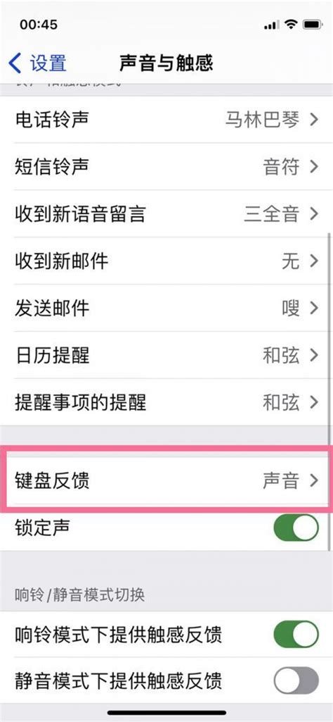 Ios16打字震动设置怎么操作 Ios16键盘震动反馈开启方法 适会说
