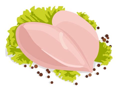 Breasts Vector Images Over 48000