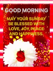 Good Morning Sunday S Download And Share