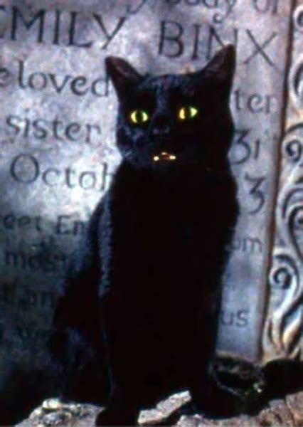 Disney Lego Hocus Pocus Animated Series Fan Casting On Mycast