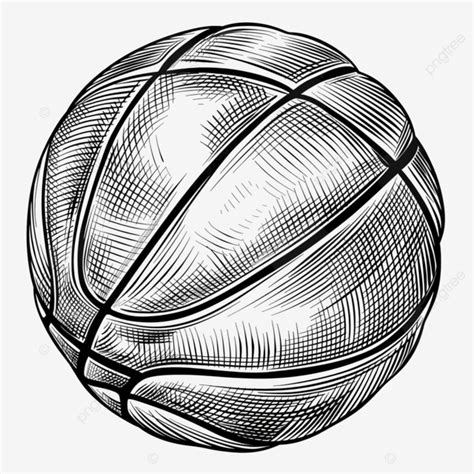 라인 아트 농구 그림 벡터 농구 스포츠 공 Png 일러스트 및 이미지 에 대한 무료 다운로드 Pngtree