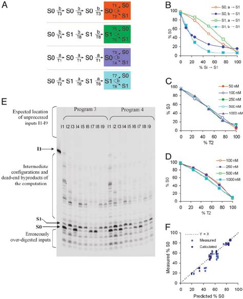 Experimental Support To Stochastic Computation Reactions A Download Scientific Diagram