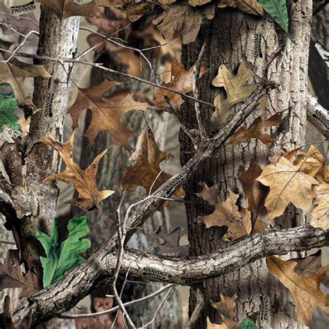 [300 ] Camo Wallpapers