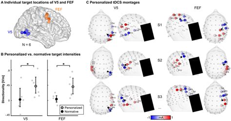 Personalized Versus Normative Target Electric Field Intensities A